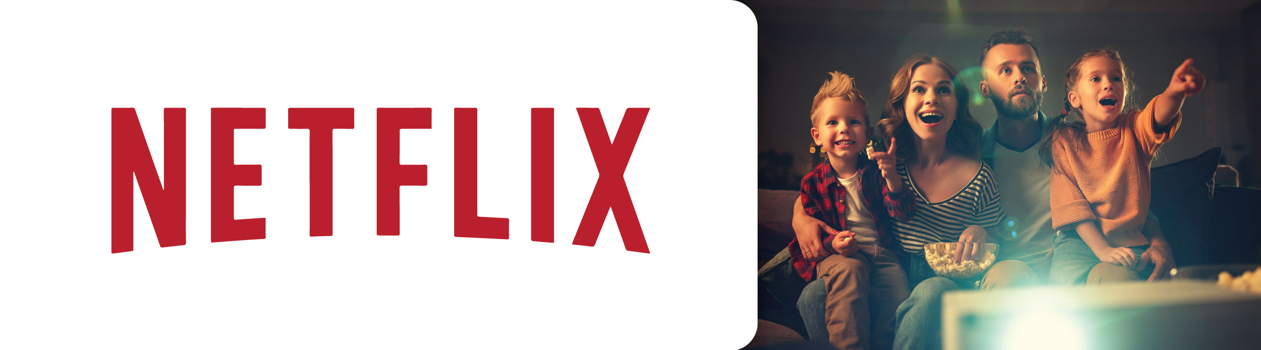 Netflix 300 X 250 Banner Ad